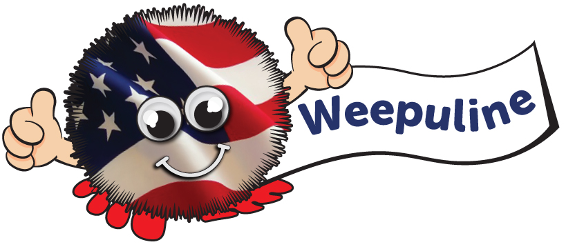 Raising Awareness With Weepuls - The Weepuls family